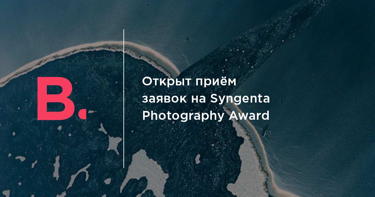 Открыт приём заявок на Syngenta Photography Award — Bird In Flight
