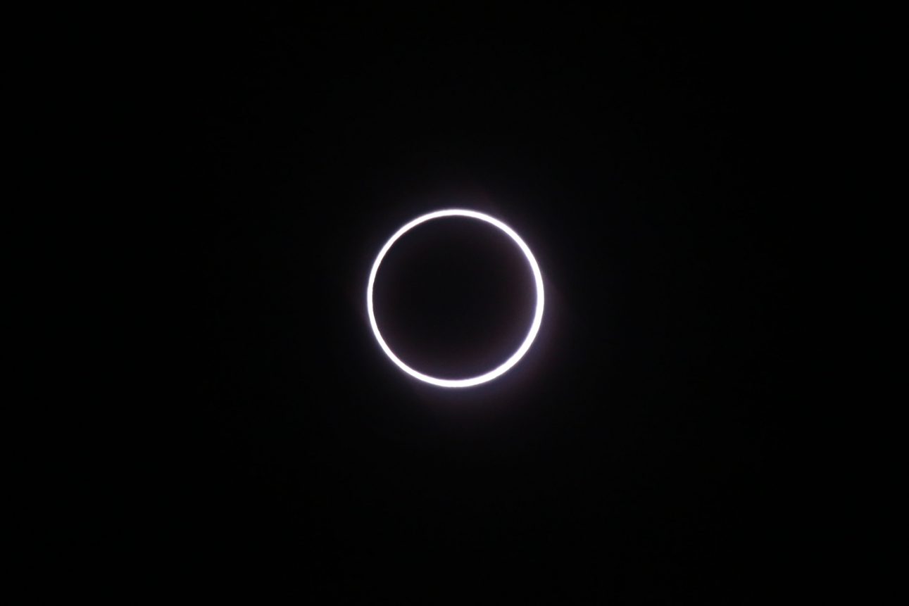 Annular Solar Eclipse — Bird In Flight
