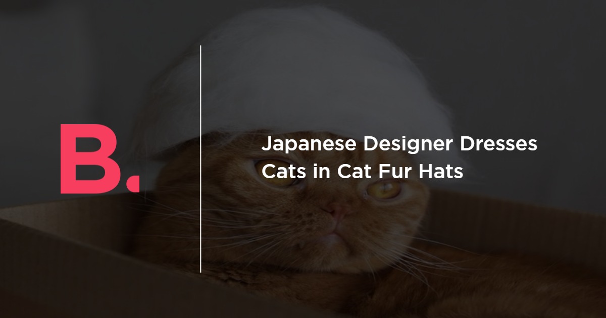 Japanese Designer Dresses Cats in Cat Fur Hats — Bird In Flight