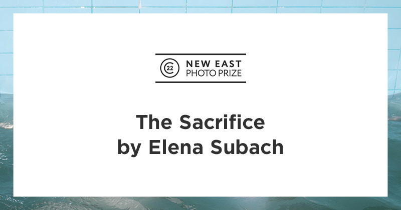 New East Photo Prize: The Sacrifice by Elena Subach — Bird In Flight