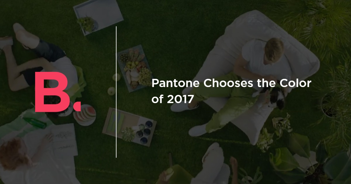 Pantone Chooses the Color of 2017 — Bird In Flight