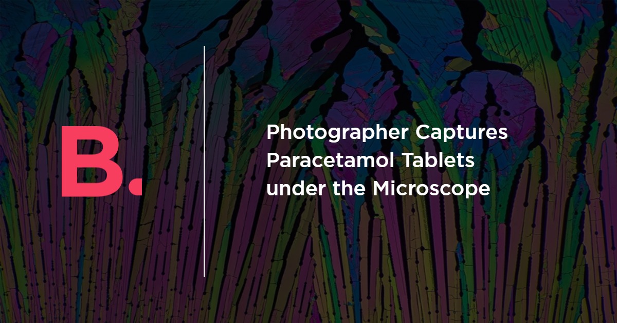 Photographer Captures Paracetamol Tablets under the Microscope — Bird ...