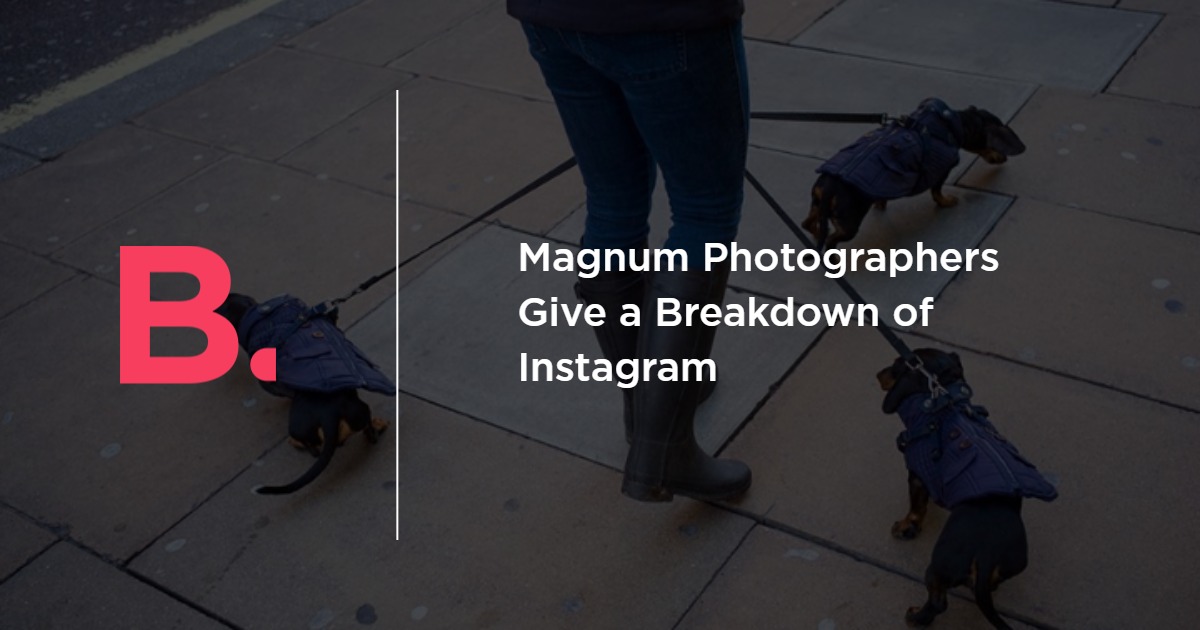 Magnum Photographers Give a Breakdown of Instagram — Bird In Flight