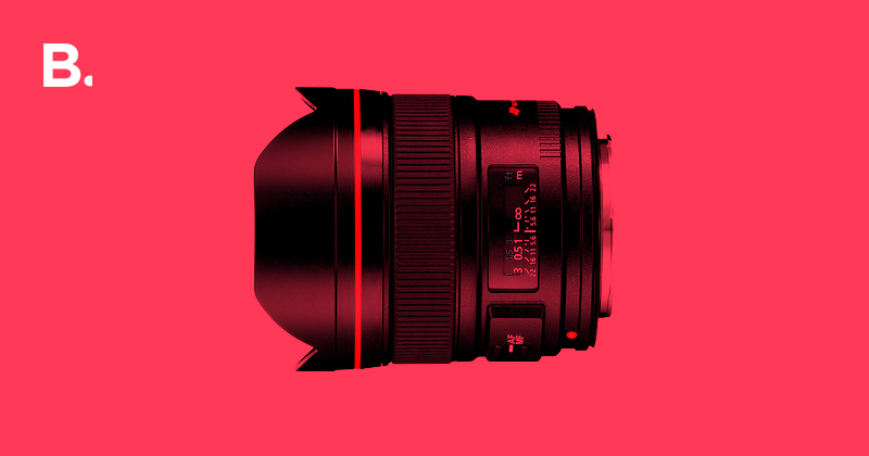 Link of the Day: This Website Helps You Choose the Best Lens — Bird In ...