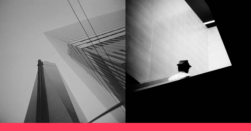 The Best Photographs Taken with 'Krappy Kameras' in 2017 — Bird In Flight