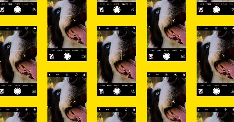 Apple Released a Series of Video Tutorials on How to Take Impressive ...