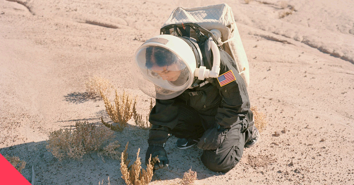 К Марсу готовы: Как живут в симуляторах Красной планеты — Bird In Flight